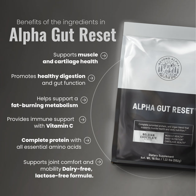 Alpha Gut Reset™ – Beyond Alpha