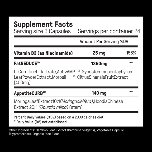 The Dream Body Stack – Beyond Alpha