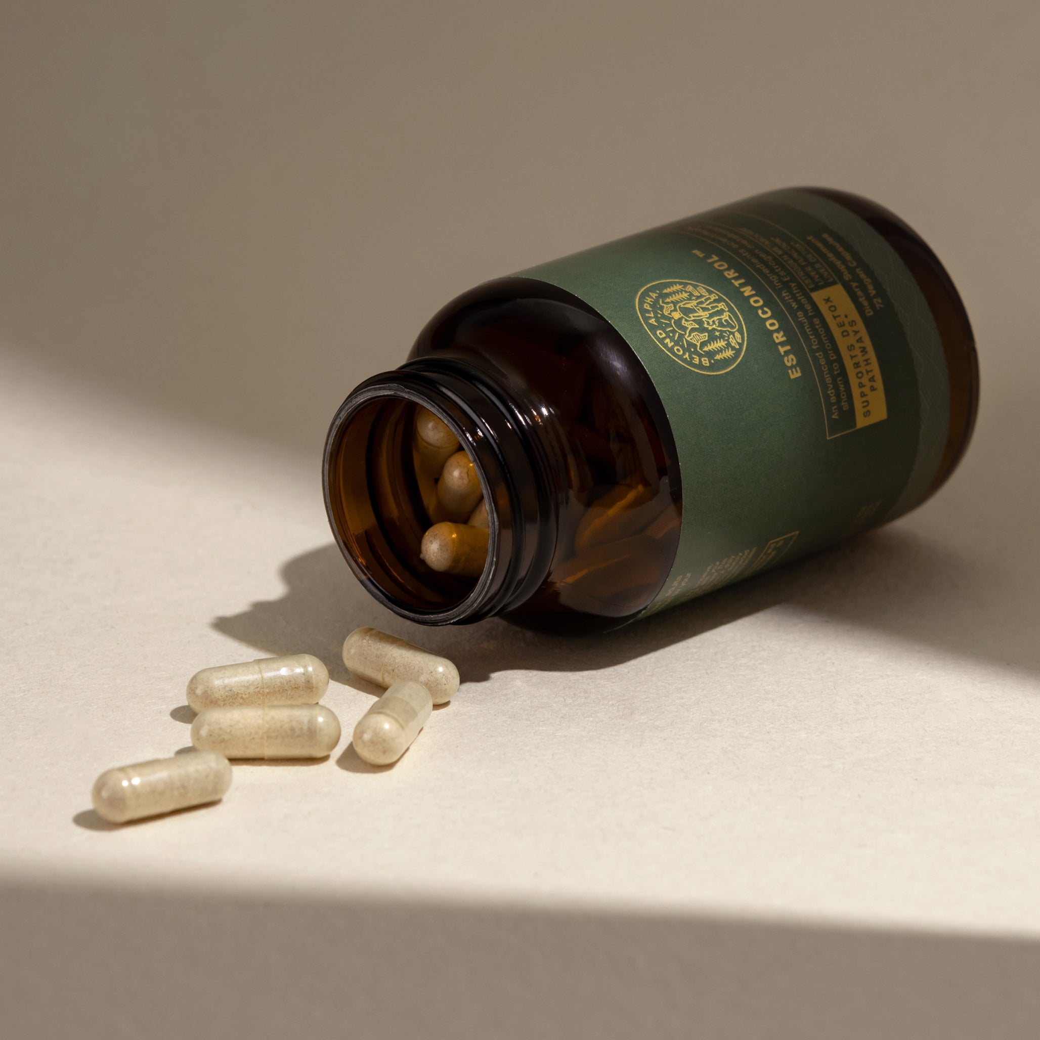 EstroControl – Beyond Alpha