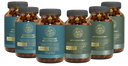 Ultimate Alpha Stack – Beyond Alpha