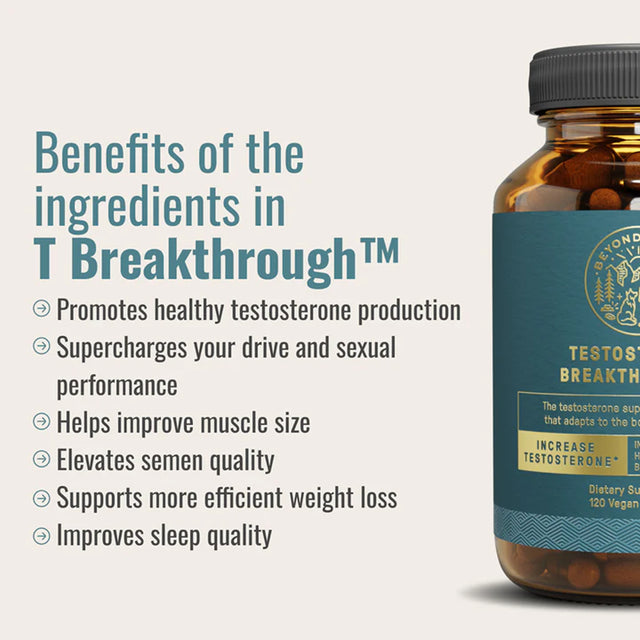 The Dream Body Stack™ – Beyond Alpha